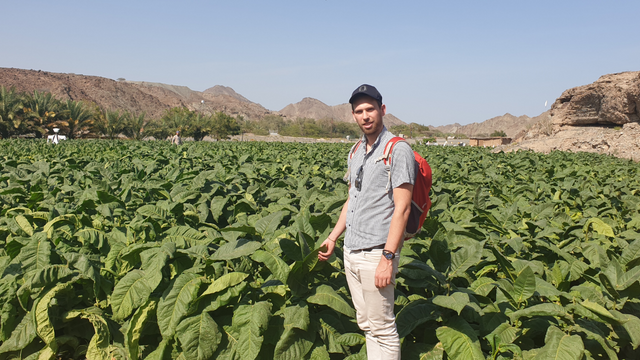 Dokha Tobacco: An In-Depth Guide to Arabic Tobacco and Medwakh Pipes ...